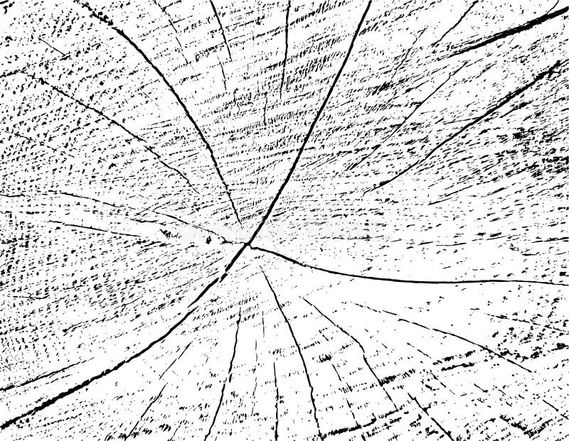 Vector Grunge Texture Of A Cross Section Of A Tree With Cracks And Annual Rings Stock Vector