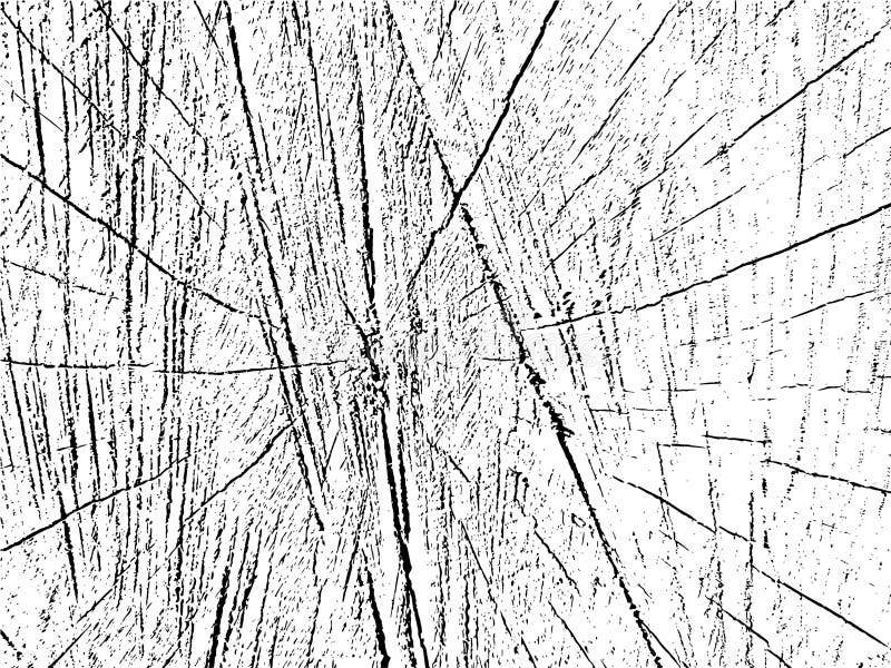 Vector Grunge Texture of a Cross Section of a Tree with Cracks ...