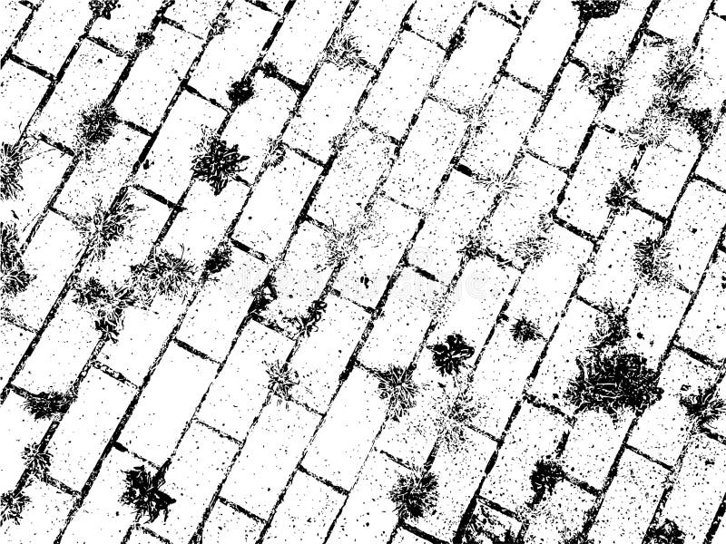 Vector Grunge Texture of Paving Slabs with Grass Breaking through ...