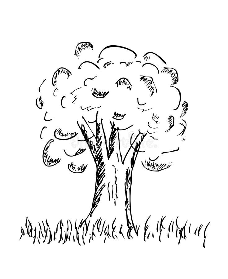Simple Vector Hand Draw Sketch, Big Tree and Grass Stock Vector ...