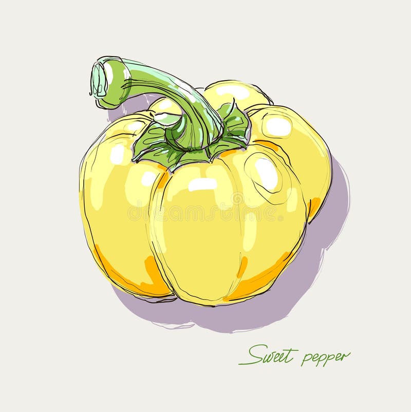 Chillies Drawing Stock Illustrations – 137 Chillies Drawing Stock ...