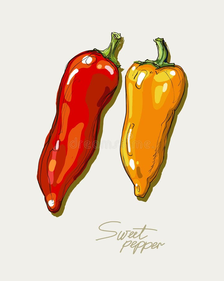 Vector Hand Drawing Red Hot Peppers Stock Illustration - Illustration ...