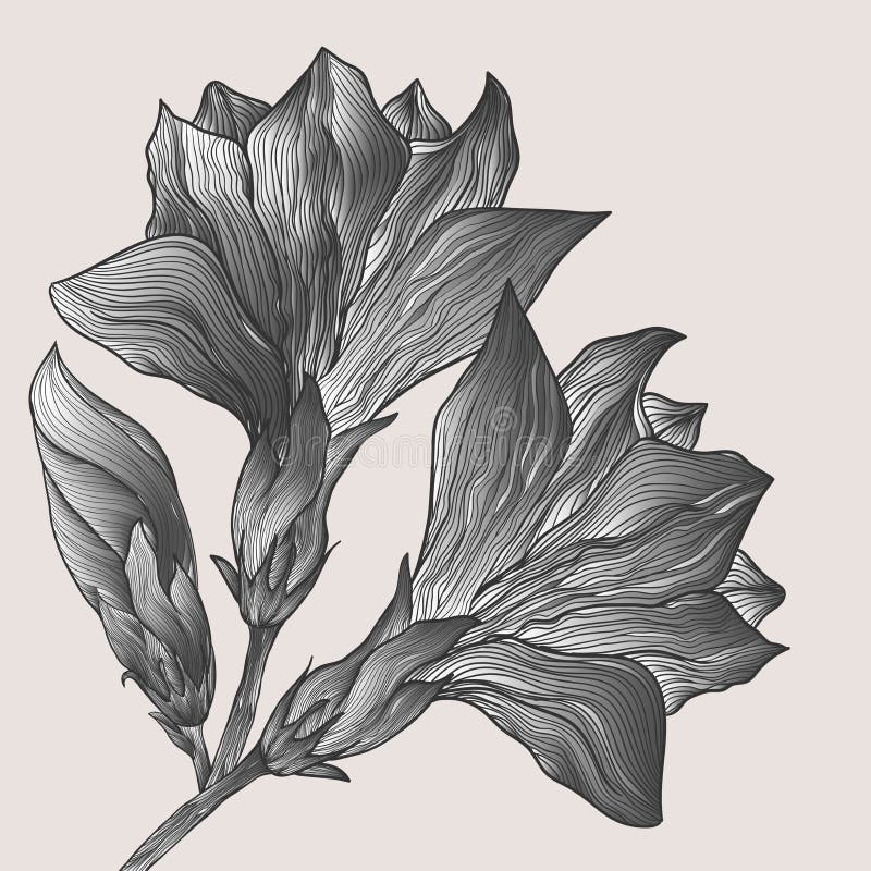 Posh Pattern Stock Illustrations – 3,629 Posh Pattern Stock ...