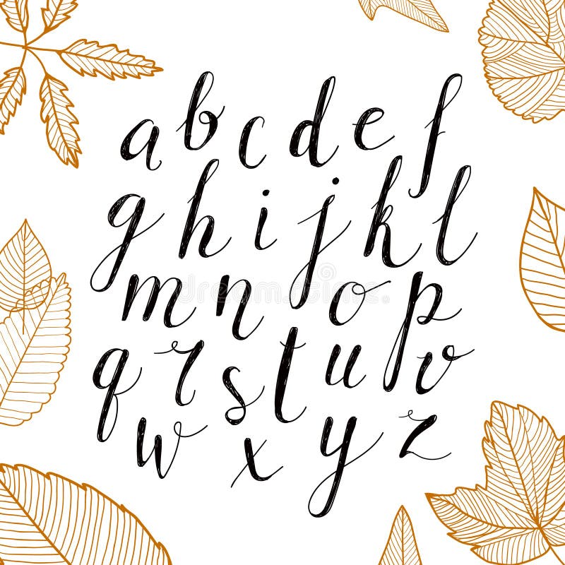 Vector Hand Drawn Alphabet. Handwritten Script with Numbers. Stock ...