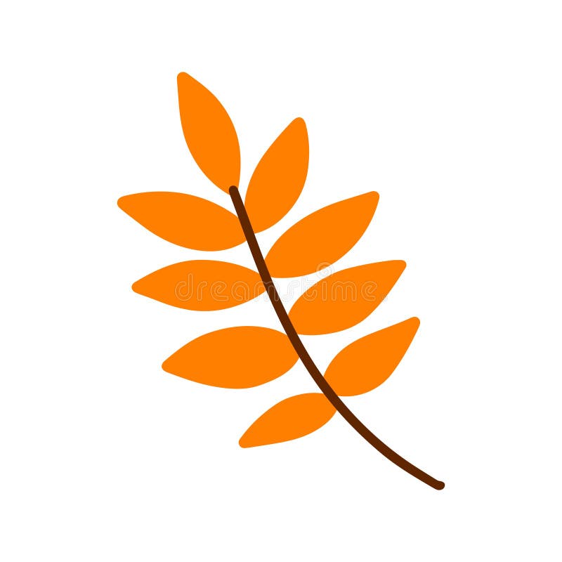 Vector Hand Drawn Autumn Leaf Isolated on White Background. Decorative ...