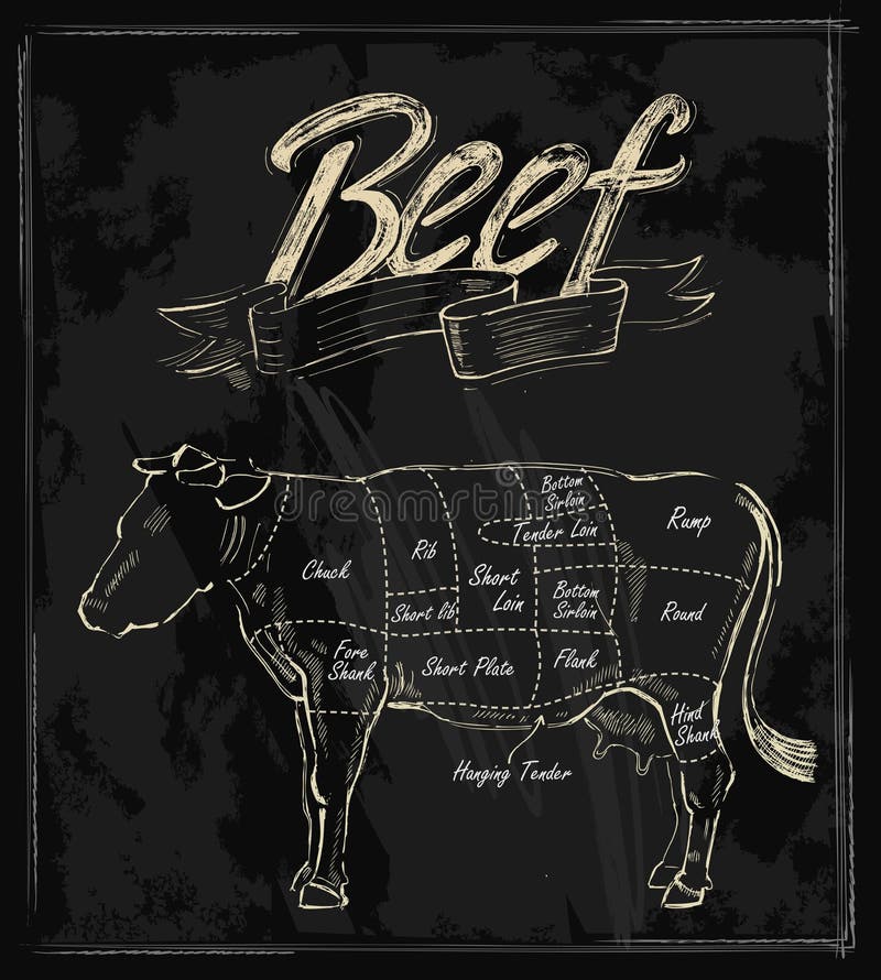 Beef logo stock illustration. Illustration of letters - 13359913
