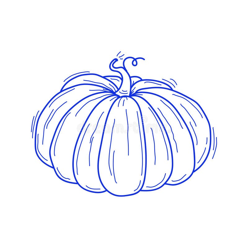 Vector Hand Drawn Blue Sketch of Round Pumpkin Isolated on White ...