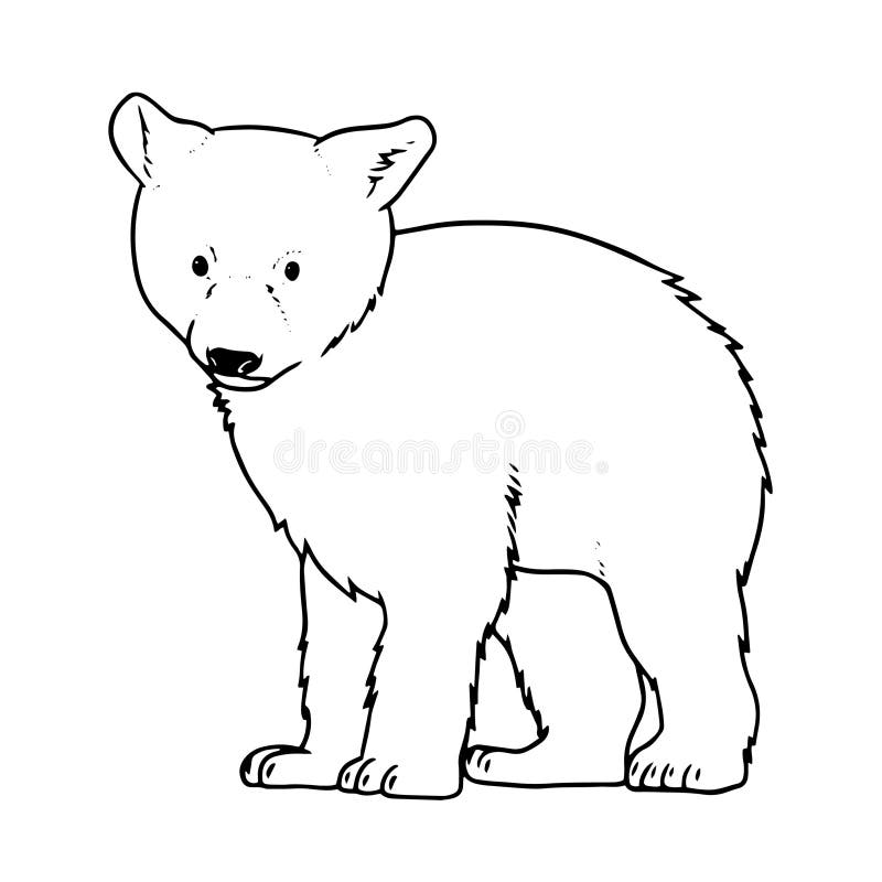 Vector Hand Drawn Brown Bear Cub Outline Illustration Stock Vector ...
