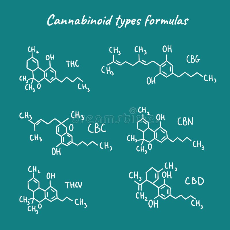 Vector Hand Drawn Cannabinoid Types Formulas Isolated Stock ...