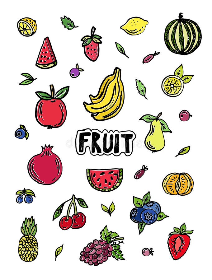 Vector Hand Drawn Colored Fruit Sketch Doodle Set Stock Vector ...