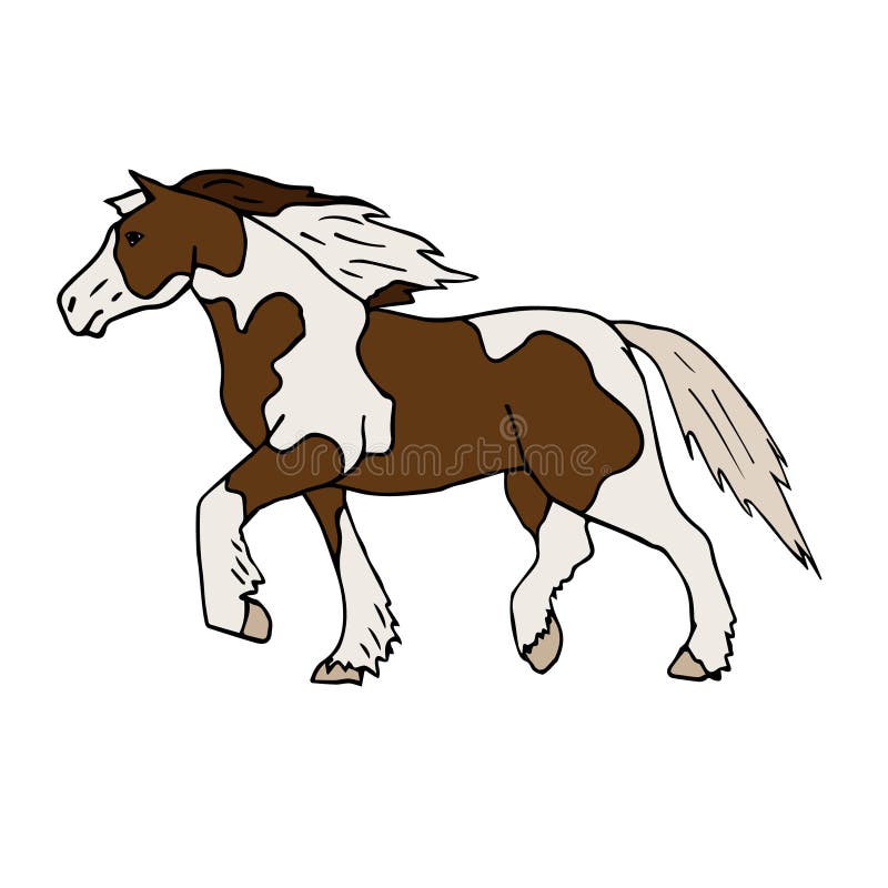 Gypsy Cob Horse Horse Stock Illustrations – 34 Gypsy Cob Horse Horse ...