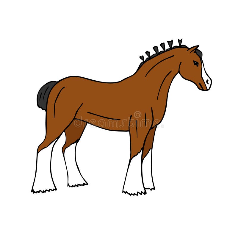 Colored Shire Stock Illustrations – 13 Colored Shire Stock ...