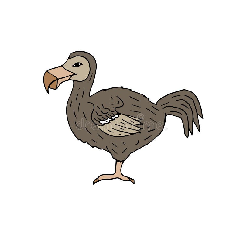 Colored Dodo Bird Stock Illustrations – 15 Colored Dodo Bird Stock ...