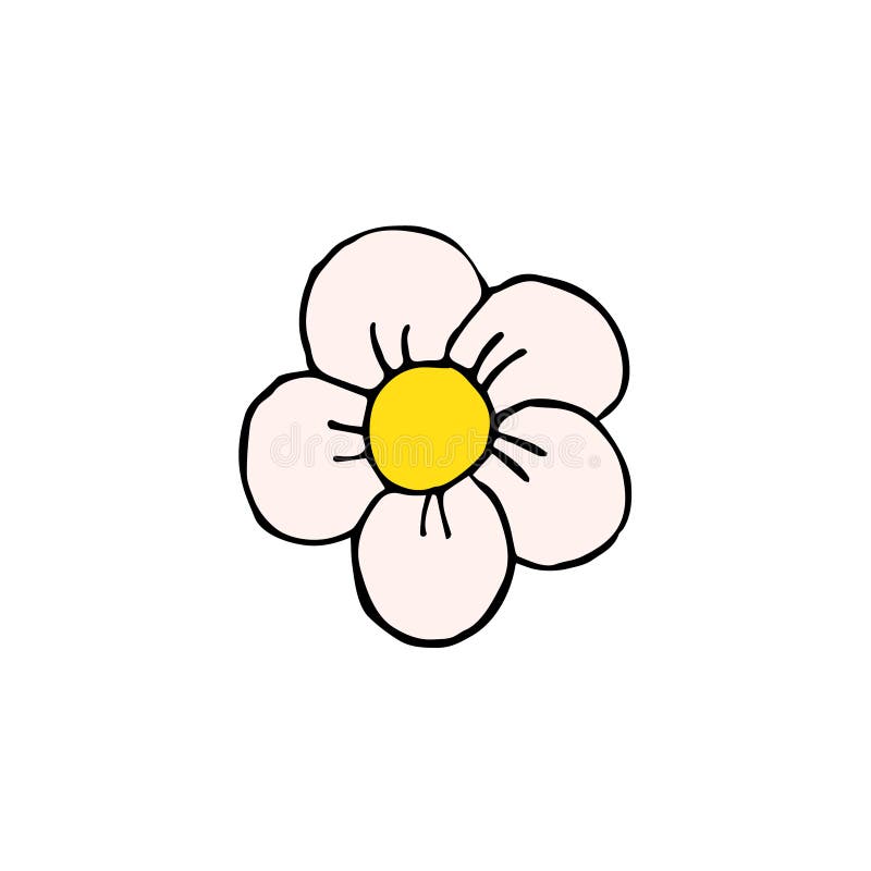 Vector Hand Drawn Doodle Sketch Daisy Flower Stock Illustration ...