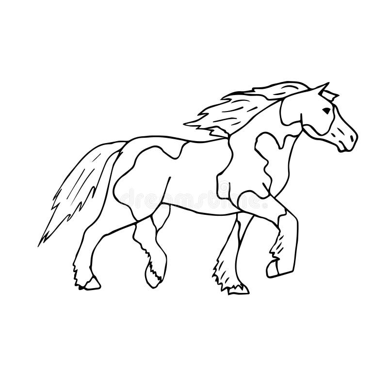 Gypsy Cob Horse Horse Stock Illustrations – 34 Gypsy Cob Horse Horse ...
