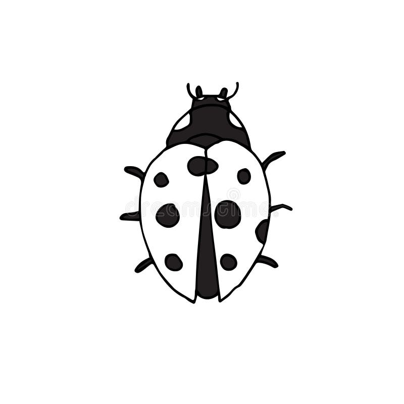 Vector Hand Drawn Doodle Sketch Ladybug Stock Illustration ... Vector Hand Drawn Doodle Sketch Ladybug Stock Illustration ...