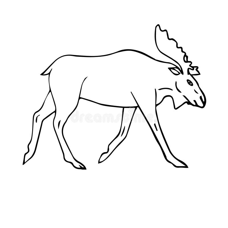 Vector Hand Drawn Doodle Sketch Moose Stock Vector - Illustration of ... Vector Hand Drawn Doodle Sketch Moose Stock Vector - Illustration of ...