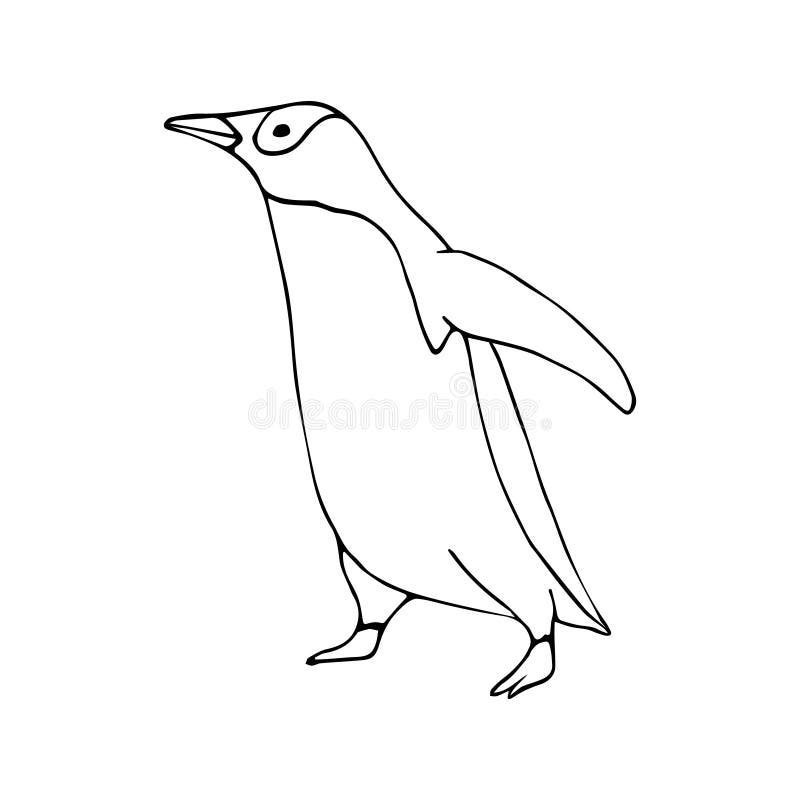 Vector Hand Drawn Doodle Sketch Penguin Stock Vector - Illustration of ...
