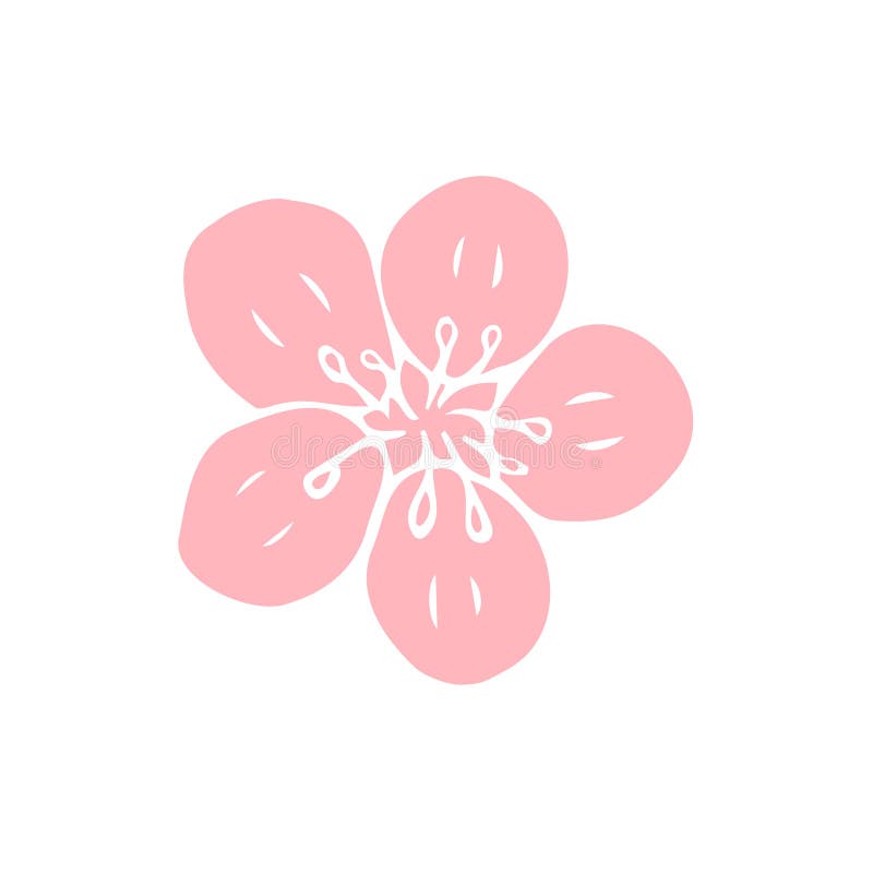 Vector Hand Drawn Doodle Sketch Pink Sakura Flower Stock Vector ...