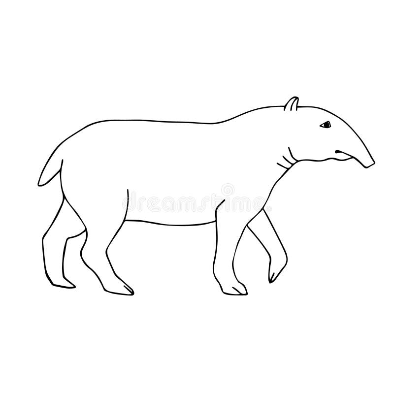 Tapir. Sketch illustration stock vector. Illustration of animals ...