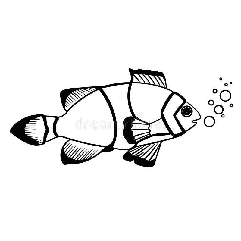 Vector Hand Drawn Fish Sketch, Doodle Style with Black Lines Stock ...