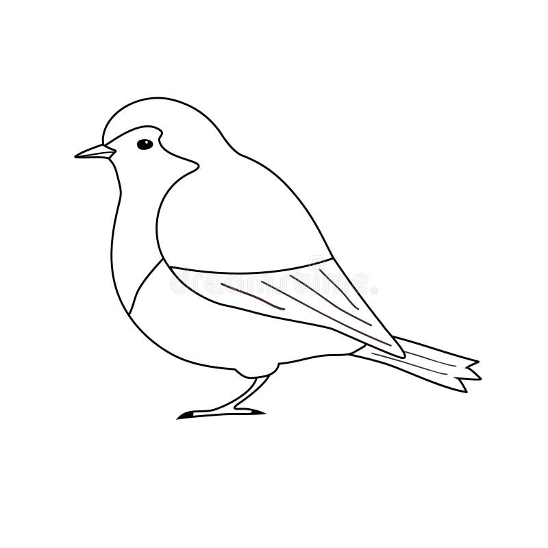 Vector Hand Drawn Flat Outline Robin Bird Stock Vector - Illustration ...