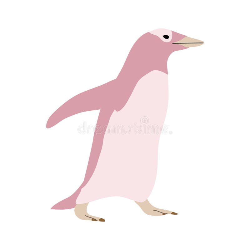 Vector Hand Drawn Flat Pink Penguin Stock Vector - Illustration of ...