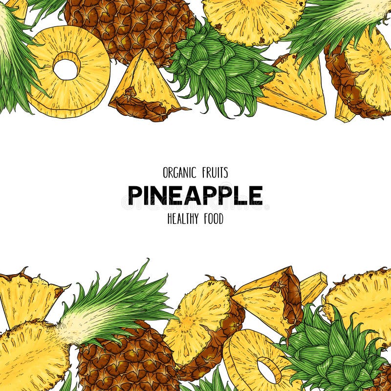 Vector Hand Drawn Frame with Organic Pineapple Stock Vector ...