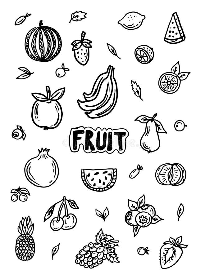 Vector Hand Drawn Fruit Sketch Doodle Set Stock Vector - Illustration ...