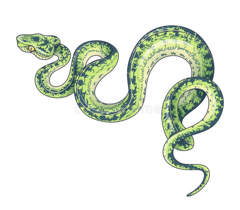 Winding Snake Stock Illustrations – 485 Winding Snake Stock ...
