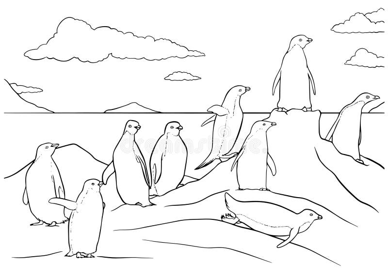 Vector Hand Drawn Group of Penguins Outline Illustration for Coloring ...