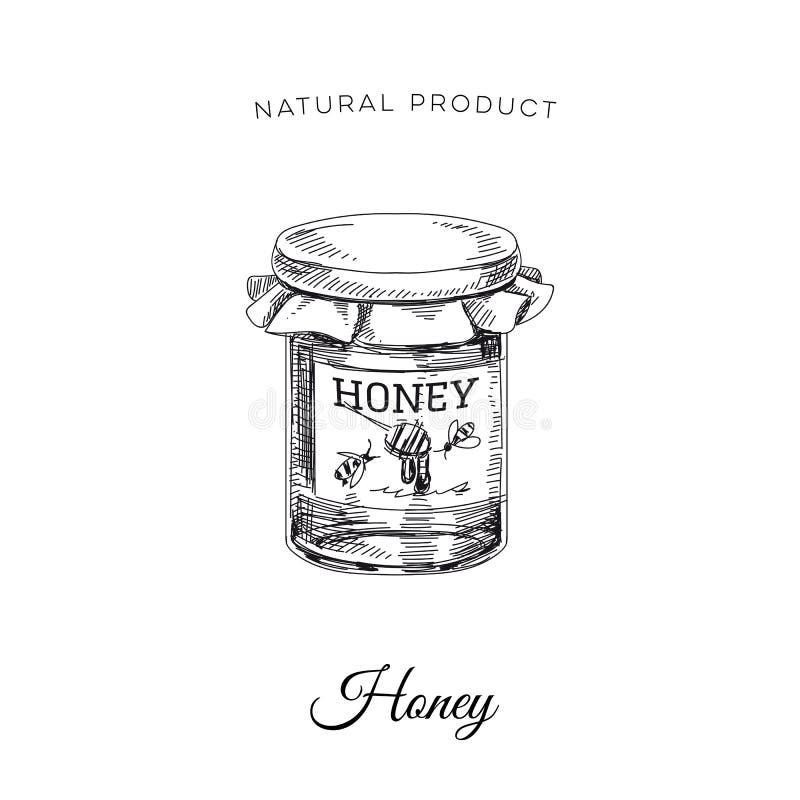 Vector Hand Drawn Honey Illustration. Stock Vector - Illustration of ... Vector Hand Drawn Honey Illustration. Stock Vector - Illustration of ...