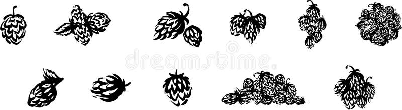 Vector Hand Drawn Hop Emblem Icon Label Logo. Illustration on White ...