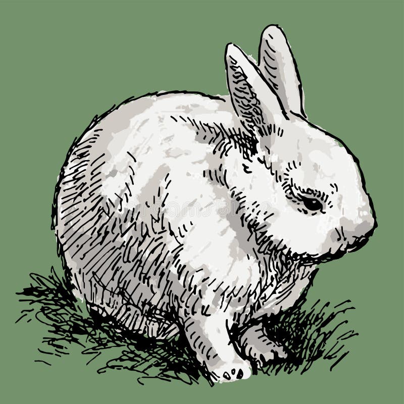 Vector Hand Drawn Illustration of Cute Fluffy White Rabbit Sitting in ...