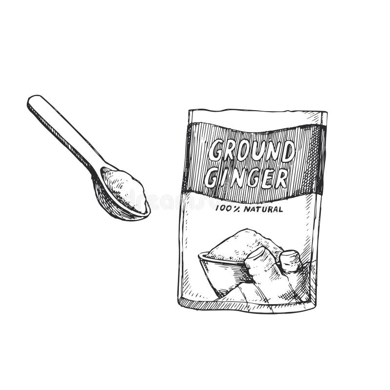 Vector Hand-drawn Illustration of Ground Package of Ginger and Spoon ...