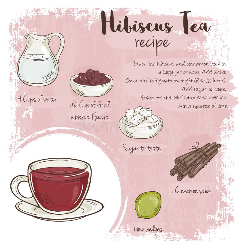 Vector Hand Drawn Illustration of Hibiscus Tea Recipe with List of ...
