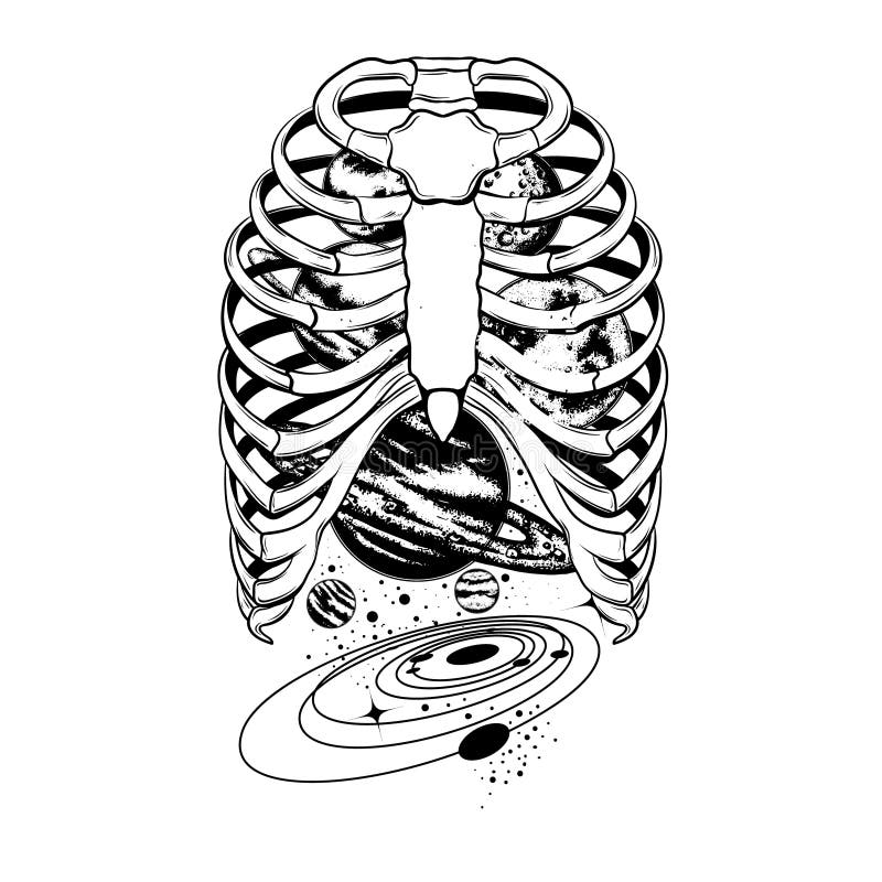 Flower Rib Cage Art Tumblr