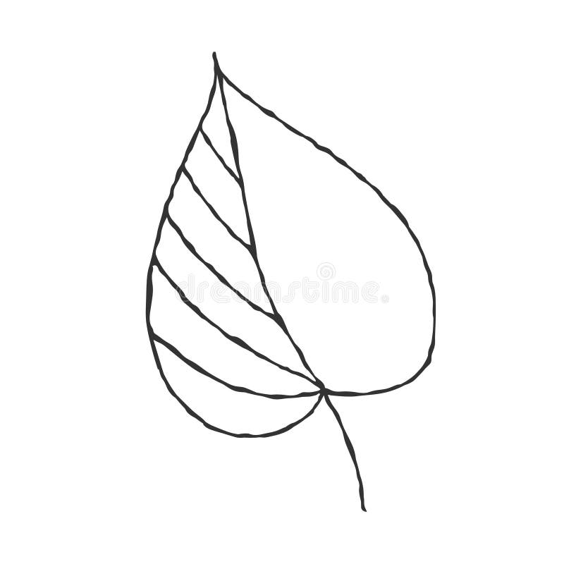 Vector Hand-drawn Illustration of a Plant Leaf. Doodle Style. an Empty ...