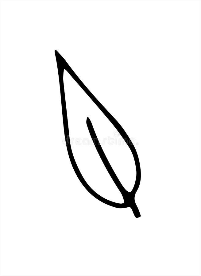 Vector Hand Drawn Illustration of Plant Leaf in Doodle Style. Empty ...