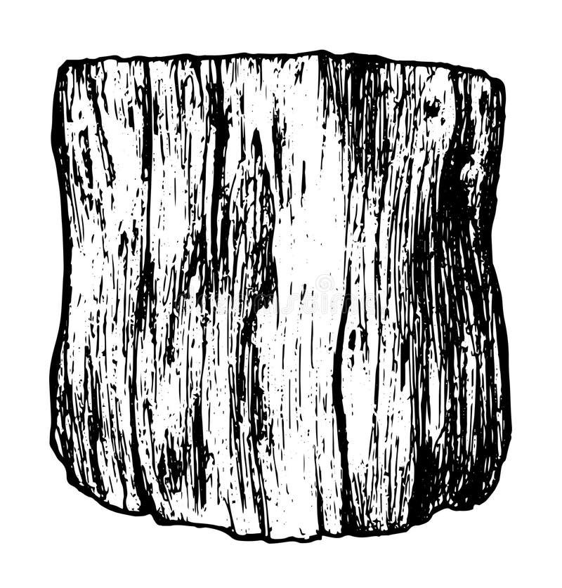 A Sketch of a Fallen Tree. a Hand-drawn Tree Stump with a Texture in a ...