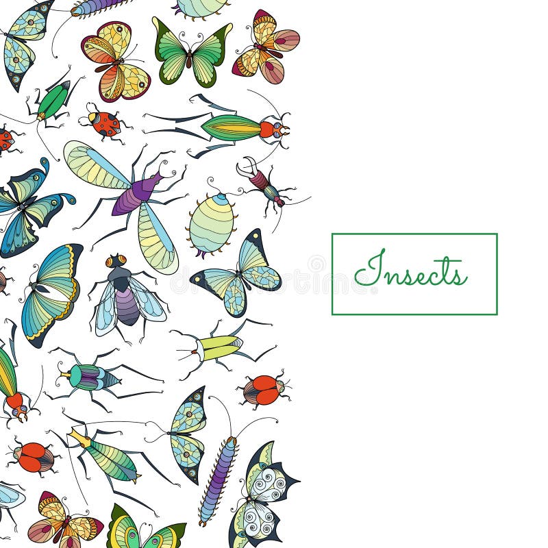 Vector Hand Drawn Insects Background with Place for Text Illustration ...