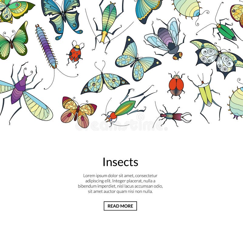 Vector Hand Drawn Insects Colored Banner Web Stock Vector ...