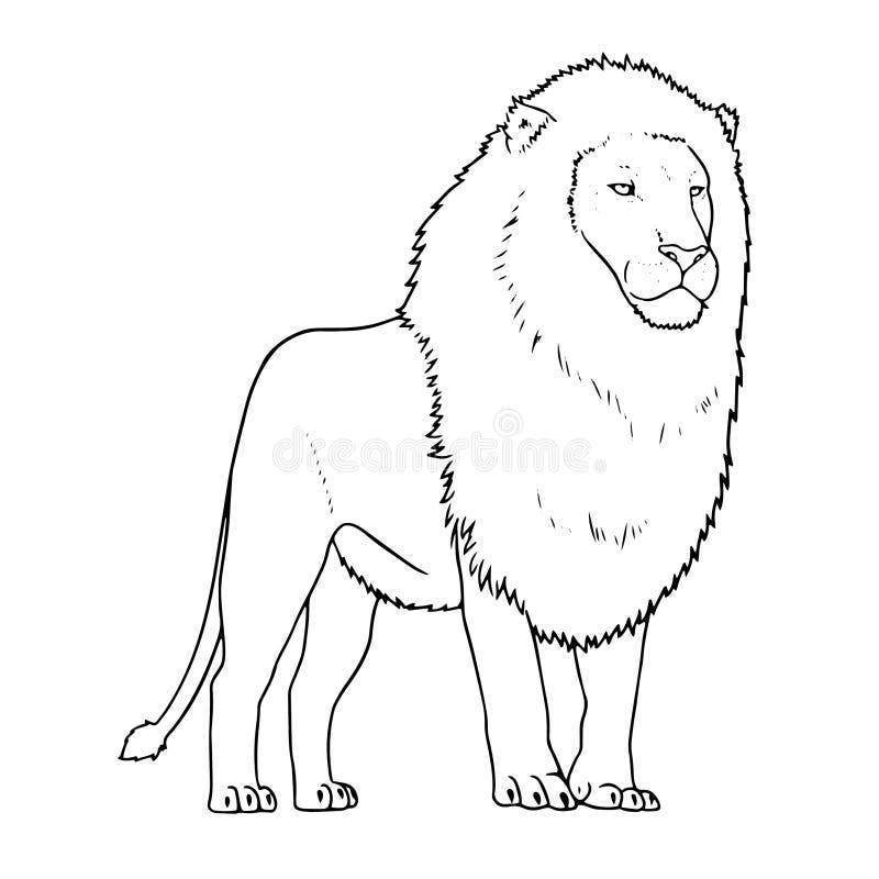 Lion outline stock vector. Illustration of king, contour - 31731914