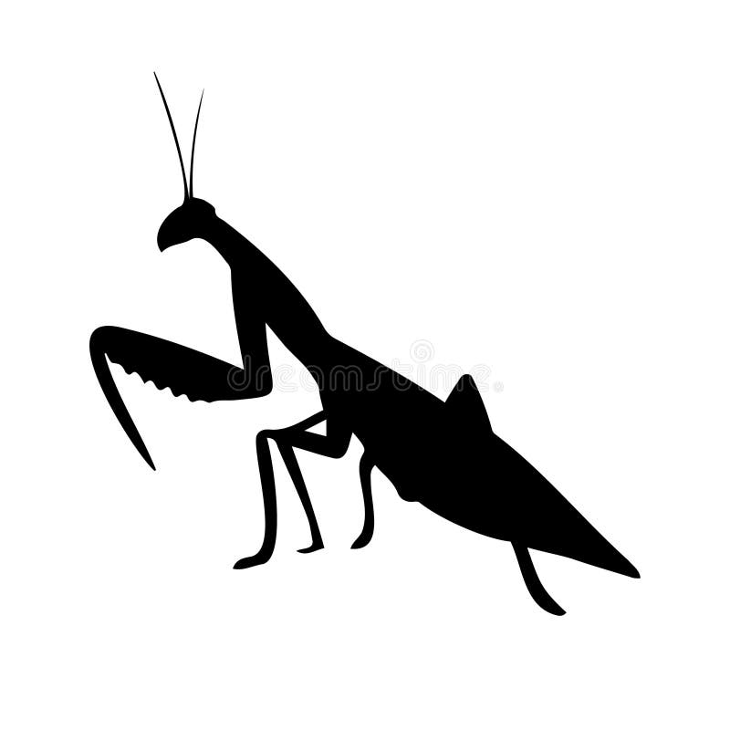 Vector Hand Drawn Mantis Silhouette Stock Vector - Illustration of ...