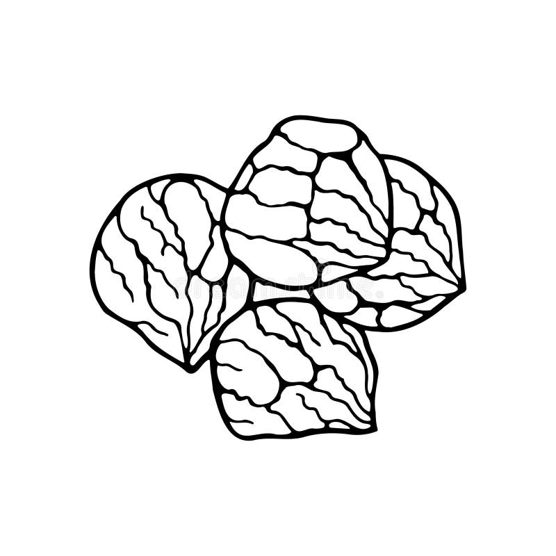 Vector Hand-drawn Marron Glace. Spanish Dessert Stock Vector ...