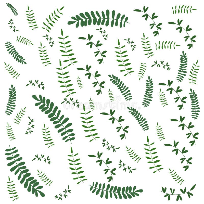 Simple plant pattern stock vector. Illustration of doodle - 155522287