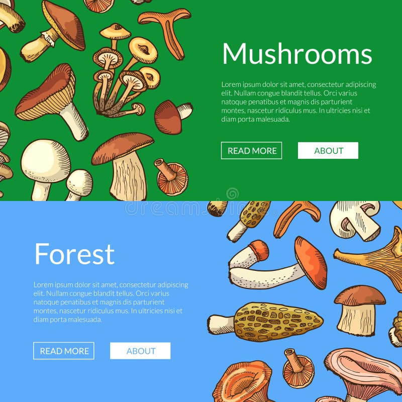 Vector Hand Drawn Mushrooms Horizontal Banners Stock Vector ...