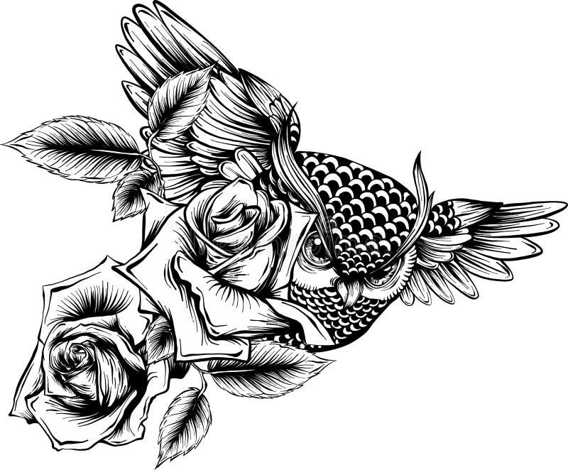 Vector Illustration with Hand Drawn Ornate Owl with Rose Flowers Stock ...
