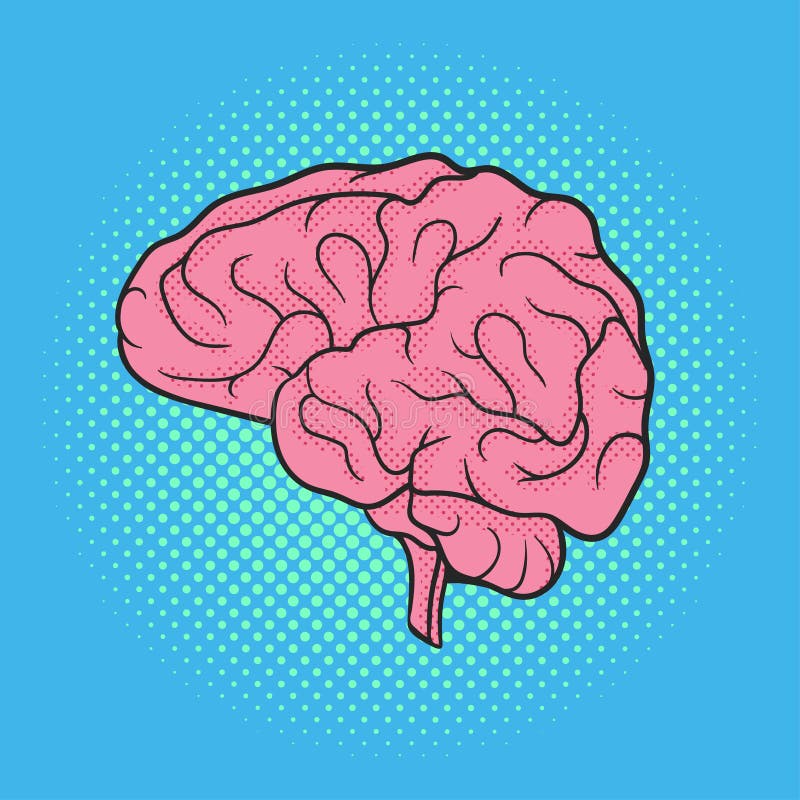 Hand Drawn Brain Set Vector Icon Illustration Stock Vector ...