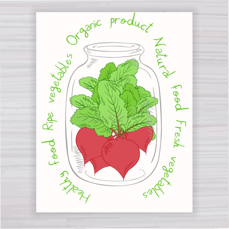 Vector Hand Drawn Poster with Jar Full of Beet with Text on Wooden ...